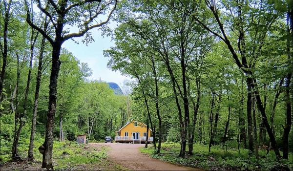 Chalet De La Roche Plate - New England