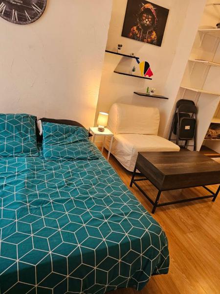 Studio Plein Centre - Auch