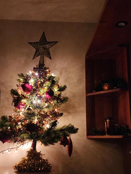 Il Glicine Di Marco Polo - Venice