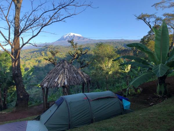 Twende Africa Tours - Tanzania