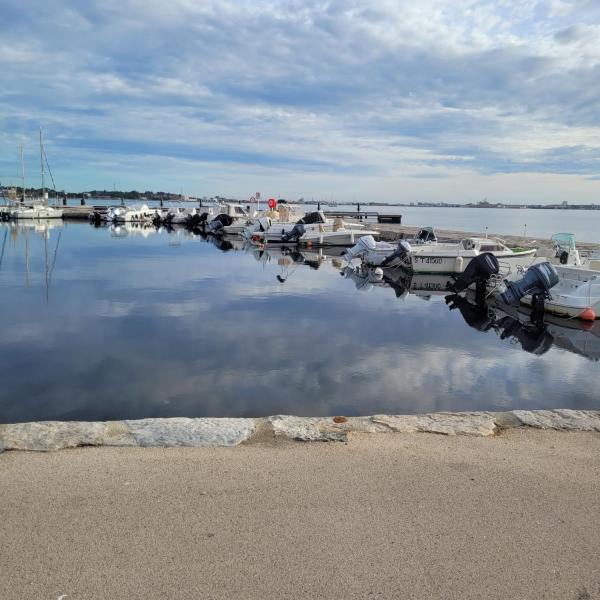 Studio Ensoleillé - Marne-la-Vallée