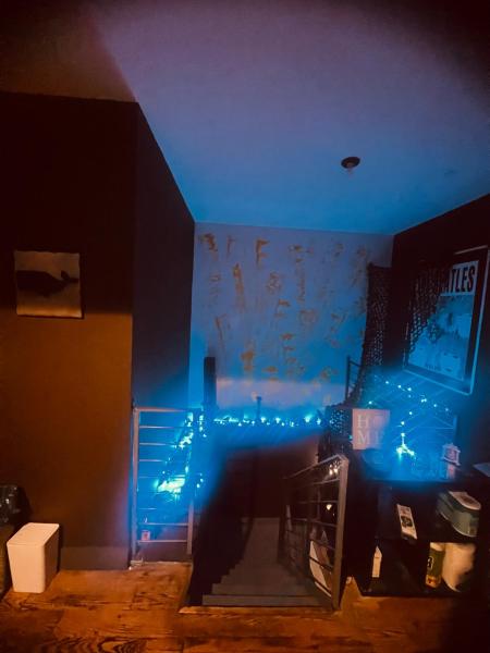 Brooklyn Dreamy Luxurious Designer Private Room - Manhattan, NY