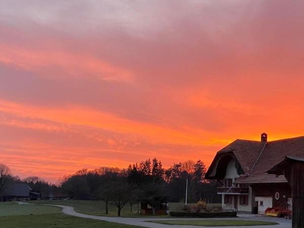 Holiday Home La Ferme By Interhome - Freiburg, Switzerland