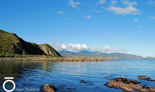 Breaker Bay Paradise - Wellington