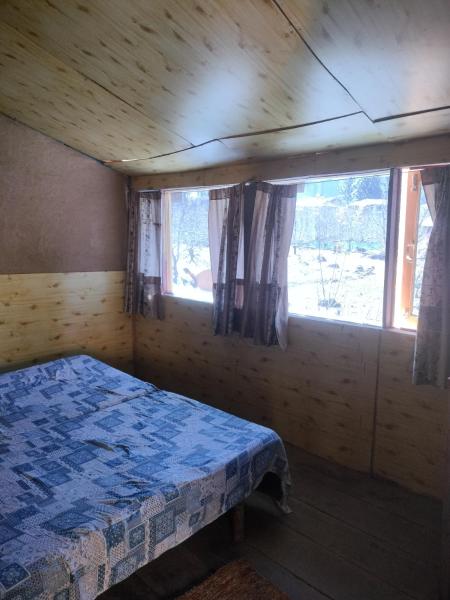 Spicydelic Stay And Best Cafe - Tosh