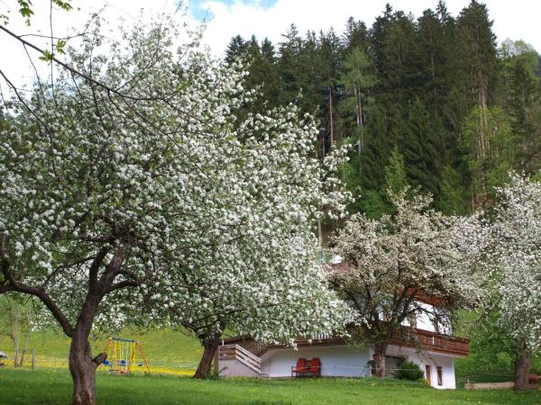 Holiday Home Haus Der Natur By Interhome - Zillertal