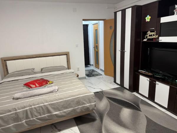 Garsonieră Parter, 1 Dormitor Cu Terasa Si Loc De Joacă, Parcare Gratuită, Craiova - Craiova