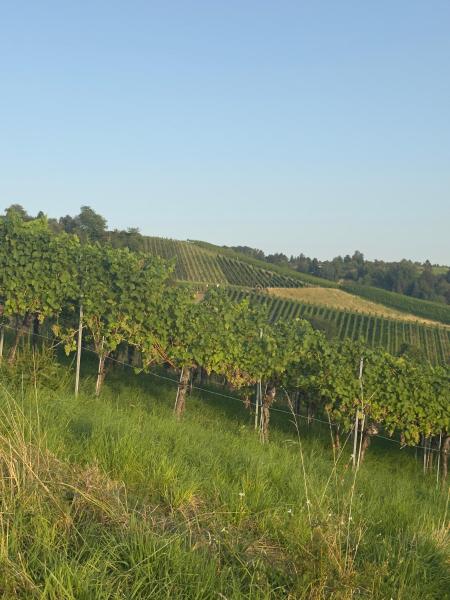 Private Longevity Retreat - Esslingen