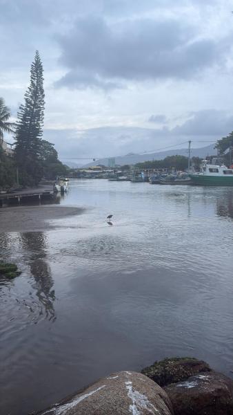 Casa Dari E Francis - Florianópolis