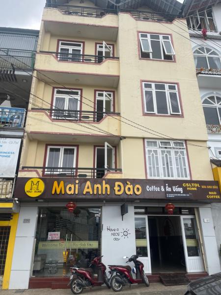 Mai Anh Dao - Dalat