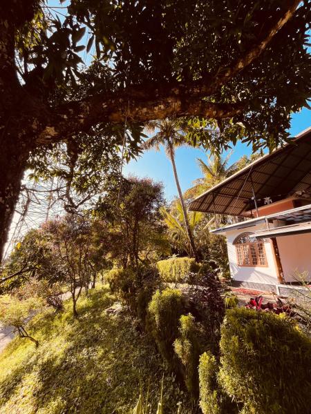 Kunnirikal Home Stay - Munnar