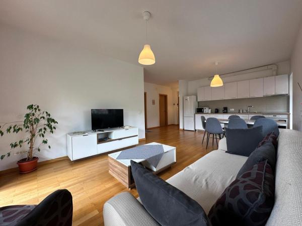 Golden Goose Apartment - Brașov