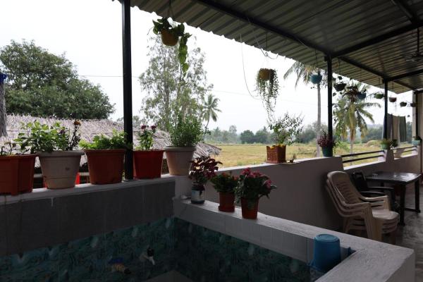 Devi Homestay - Hampi