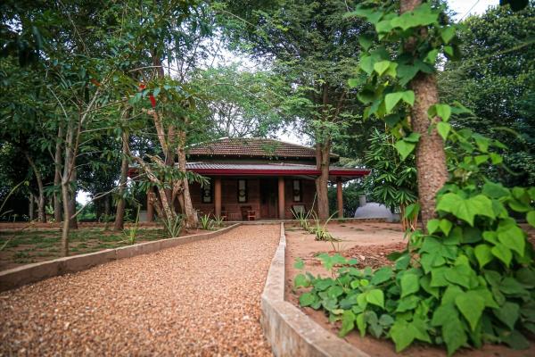 Yala Masan Hideout - Sri Lanka