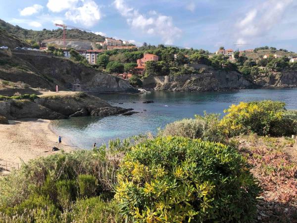 Pleasant Beachfront Apartment - Collioure