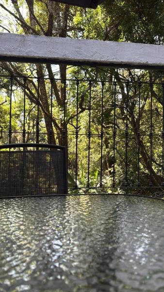 Refugio La Quinta - Hogar Colindando Al Parque - Uruapan