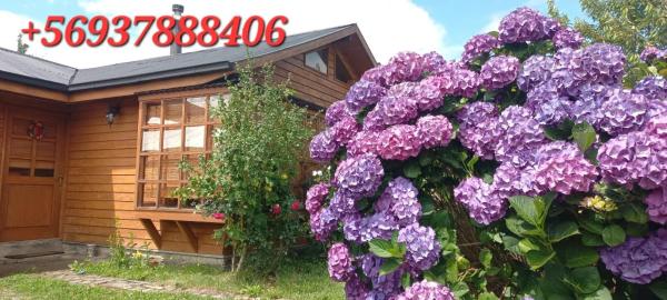 Cabaña Céntrica Pucón - Pucon