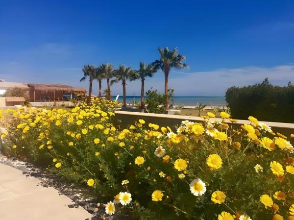 Joli Beach All Inclusive Resort - Hurghada