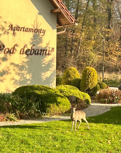 Apartamentykudowa - Willa Pod Dębami Z Ogrodem I Parkingiem, - Náchod