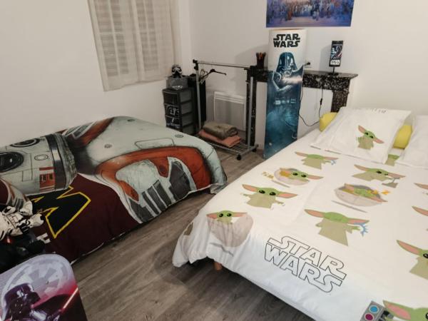 Maison Luxe Star Wars Aeroport Beauvais Tille 2 A 5 Personnes - Aquaspace