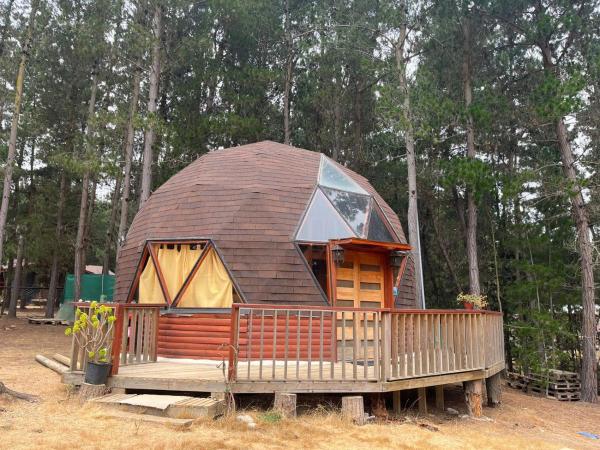 Domo Algarrobo Bosque Y Mar - Algarrobo