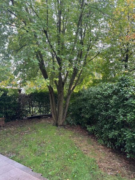 Sognare Appartament - Reggio d'Émilie