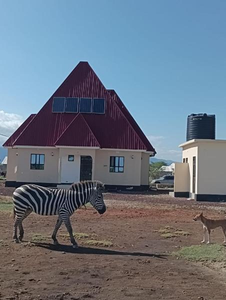 Zebra Homestay - Tanzania