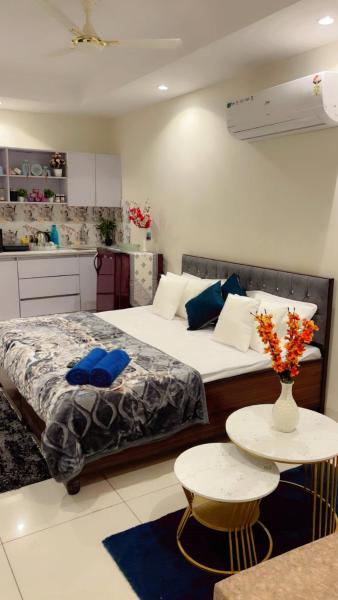 Blossom Bliss - Panchkula