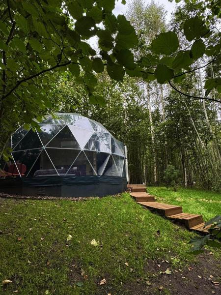 Tyla Dviese - 리투아니아