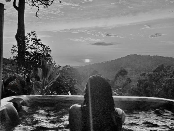 Gold Coast Hinterland Experience No Ppl 8 - Gold Coast