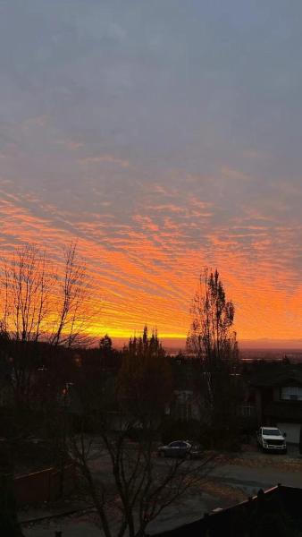 Warm House3 - Port Moody