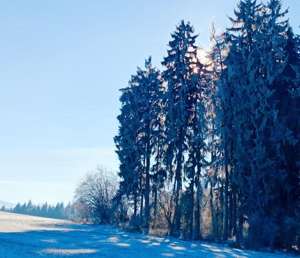 Pension Fanlor - Csehország