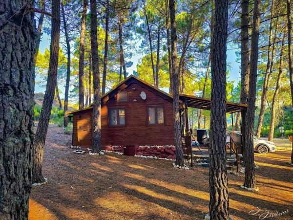 Cabaña Ananda Río Mundo - Riópar