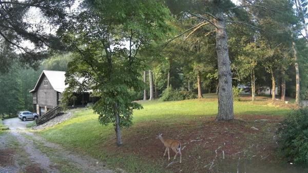 Beaver Creek Cabin - Relax And Enjoy - Oak Ridge, TN