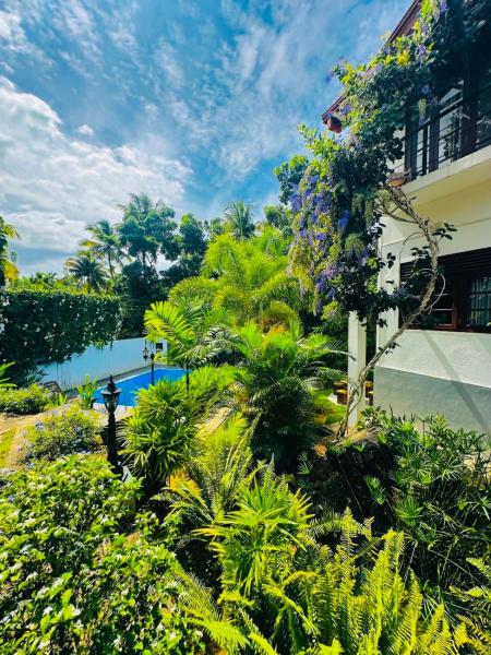 Villa Of Mirissa - Mirissa