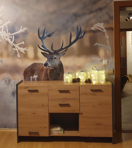 Lechufer, 80m2, Haushälfte Mit Privatem Eingang, Kaminofen, Terrasse, Garten - Reutte