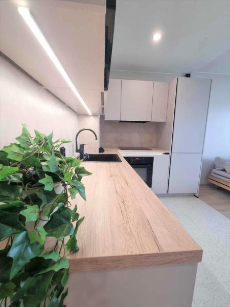 Moderni City Kattohuoneisto - Tampere