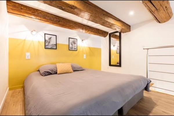 Studio Coquet Proche De Lyon - Crémieu