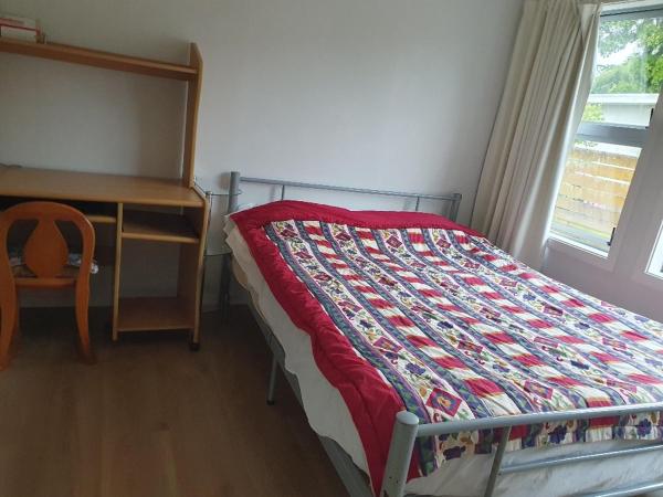 Holiday House In Central North Shore Auckland - Auckland