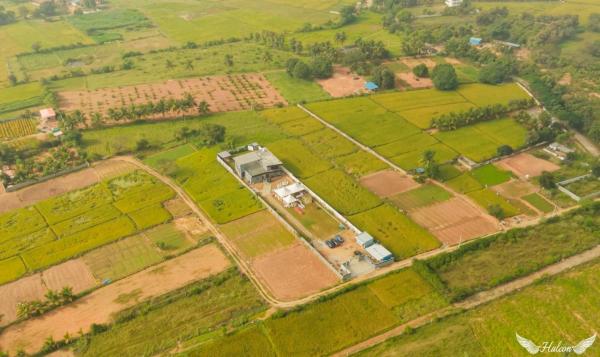 Luxe Poolside Farmhouse -J House - Hyderabad