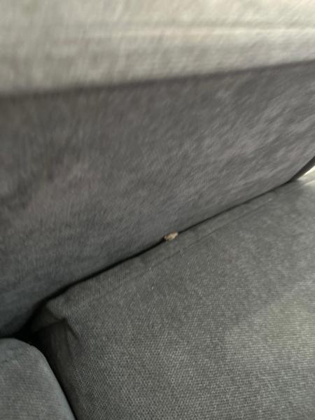 3 Bedroom Lovely House - Coventry