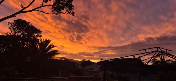 Hidden Gem Cheap And Affordable - Dargaville