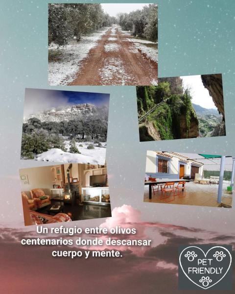 Casa Rural El Olivar Victoria - Sierra de Cazorla