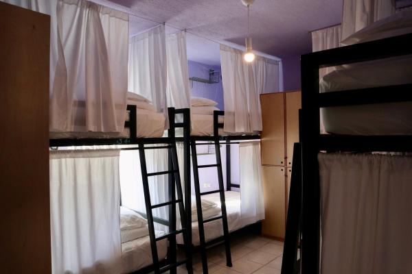 Whale Tales Hostel - San José del Cabo