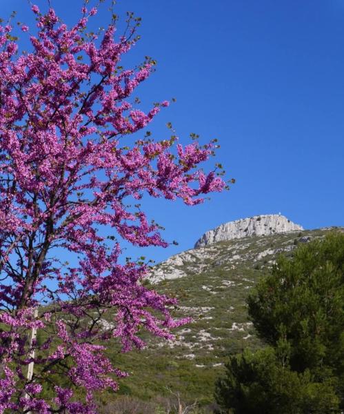 Le Guétali Du Garlaban - Gémenos