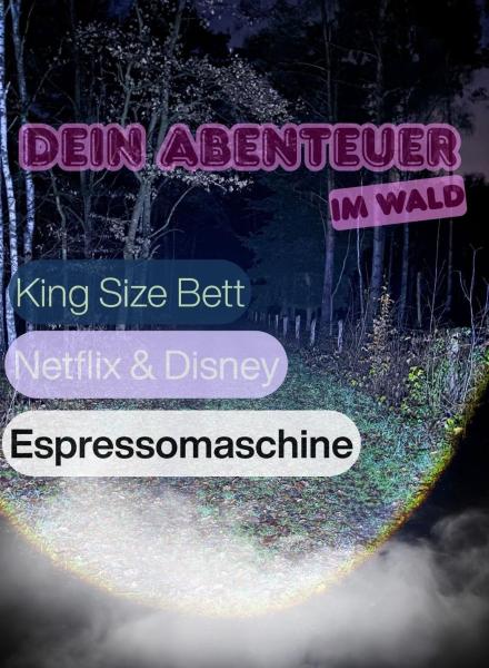 Smart Home Mitten Im Wald Perfekte Auszeit - Nienburg/Weser