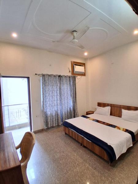 Woodspicker - Rishikesh