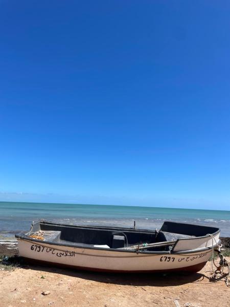 Appartement Tout Confort à Zarzis, Bord De Plage - Dżerba