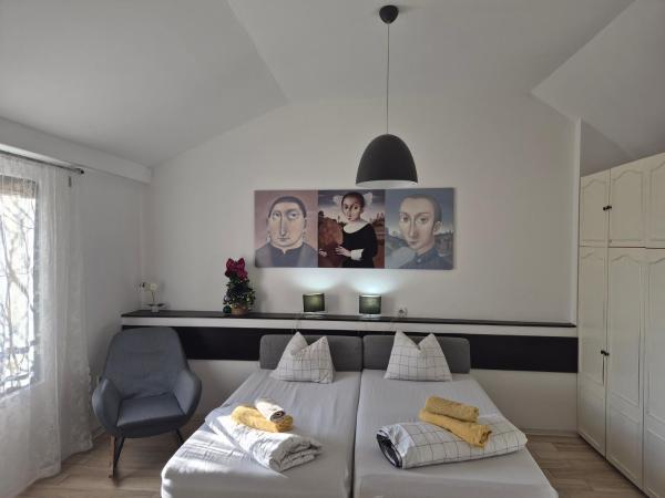 Centar Novi Sad Studio No4 Parking On Request - Novi Sad