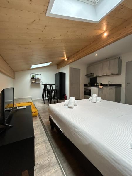 Appartement Avec Belle Pierre Et Climatisation Pour 2 Personnes - Pessac